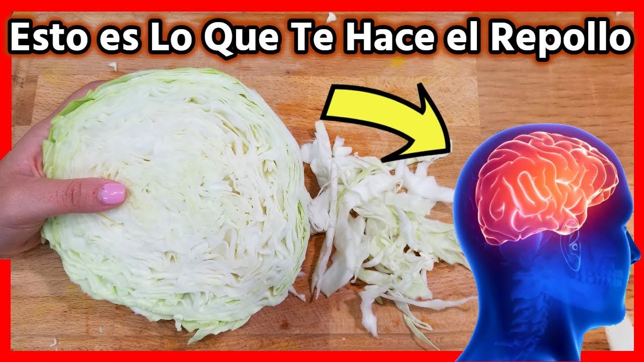El repollo es conocido por sus propiedades medicinales | Salud Para todos