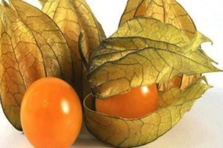 Esta fruta | Salud Para todos